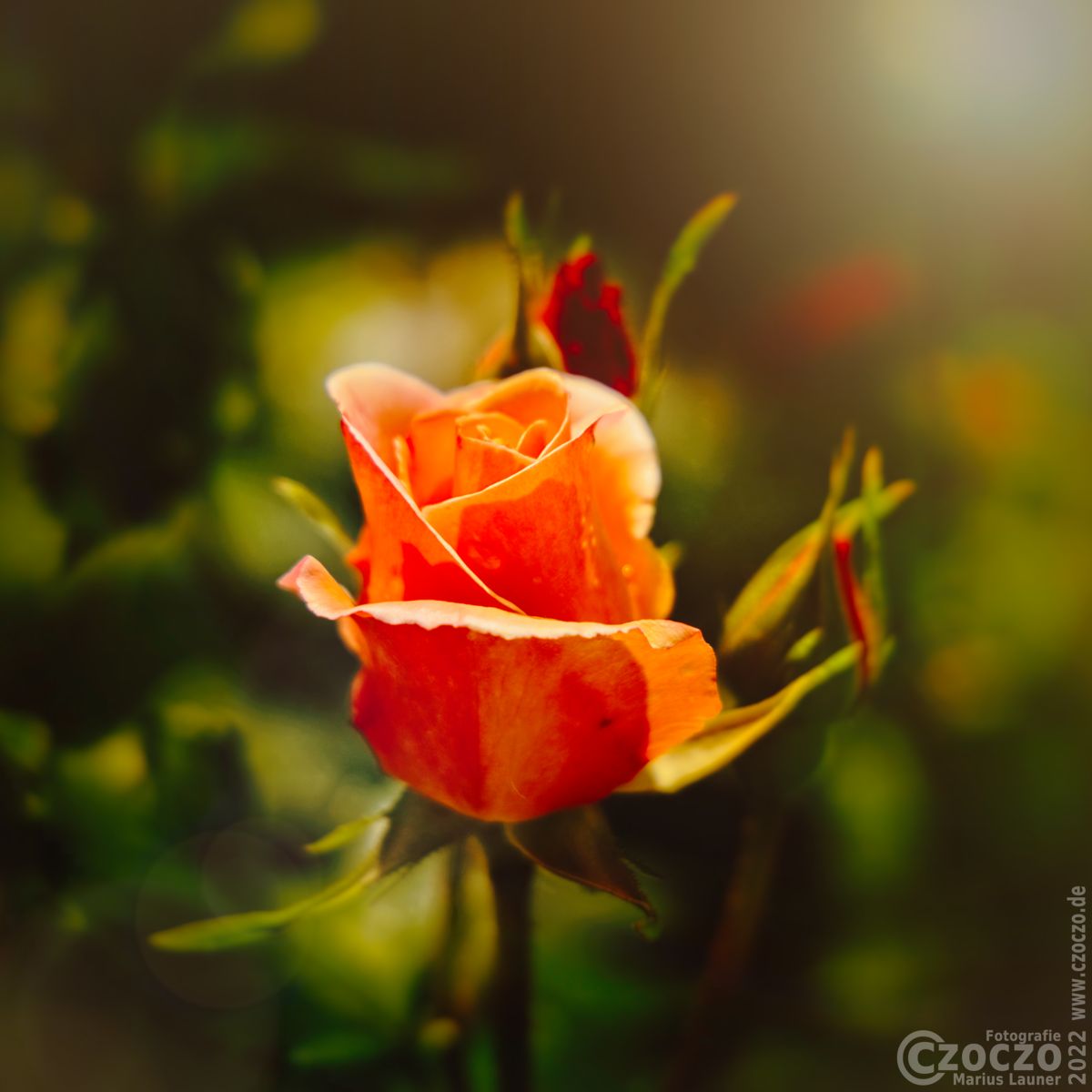 Gruß an Coburg - https://czoczo.de