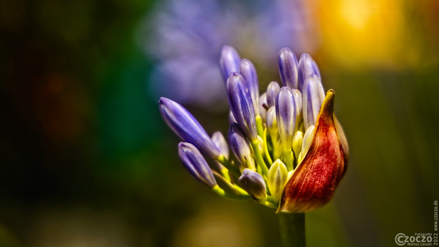 Zufällig getrofen - https://czoczo.de