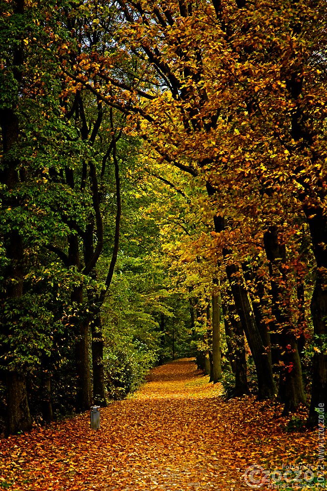 Farbenfroh - https://czoczo.de