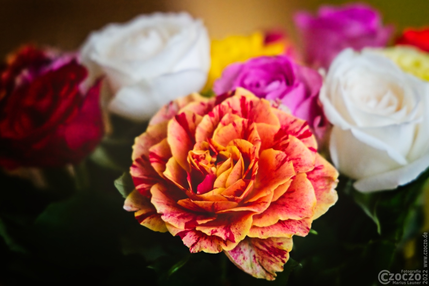 Rosenstrauß - https://czoczo.de