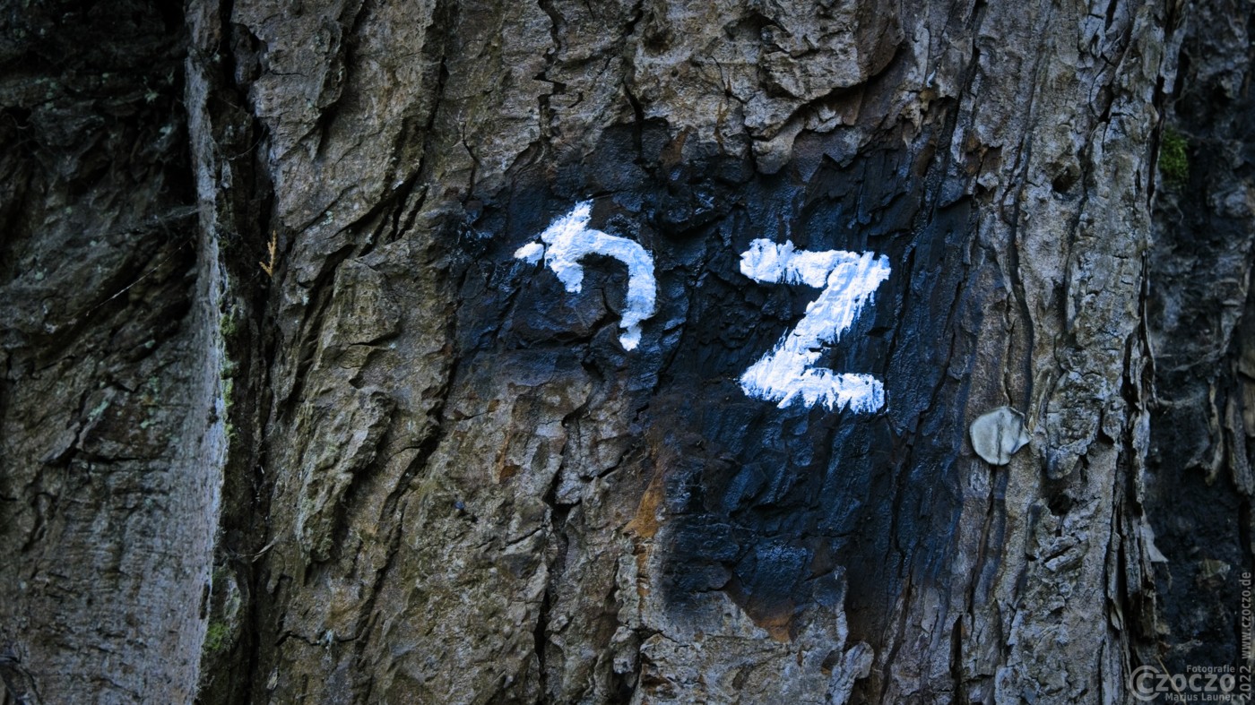 Z .. nach Links - https://czoczo.de